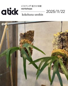 atick | 舞鶴湾を望む高台に誕生した複合施設「atick（アティック）」。隠れ家的空間でお買い物や体験をお楽しみいただけます。